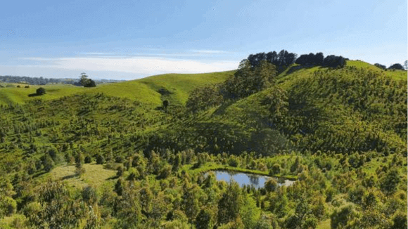 Transforming Australia’s Landscapes