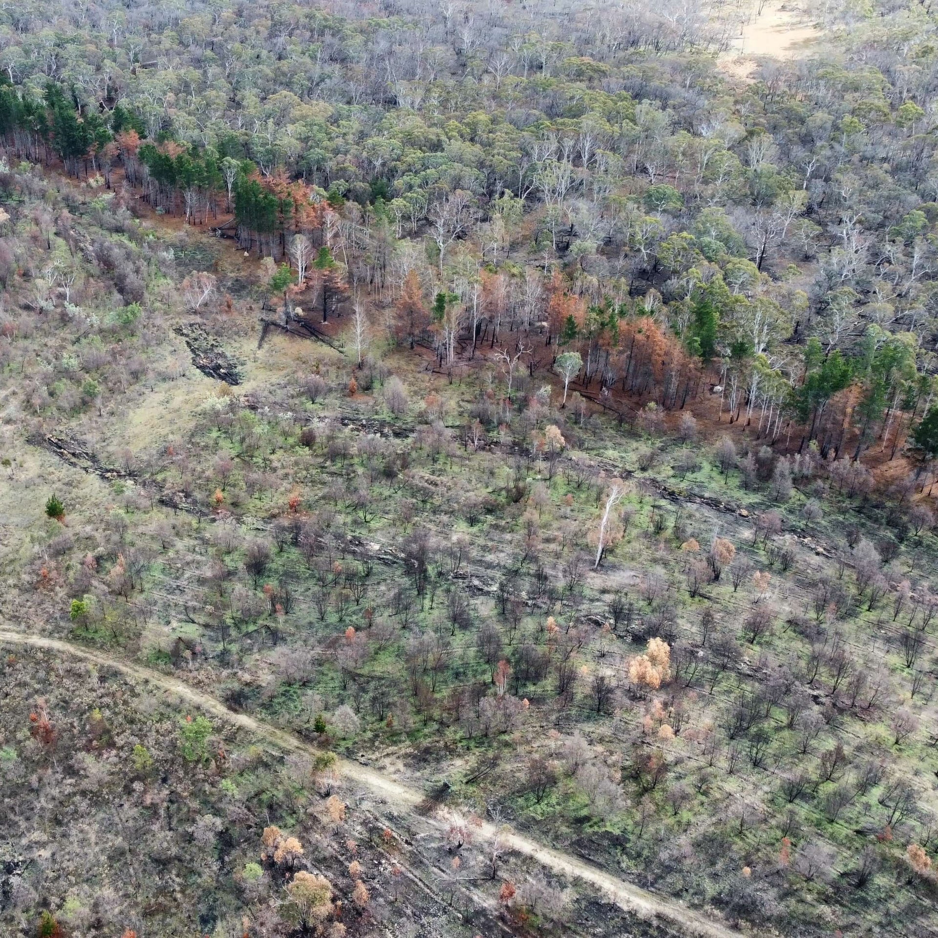 Family Farm Brought Back to Life After Fire | Back O'Slaters