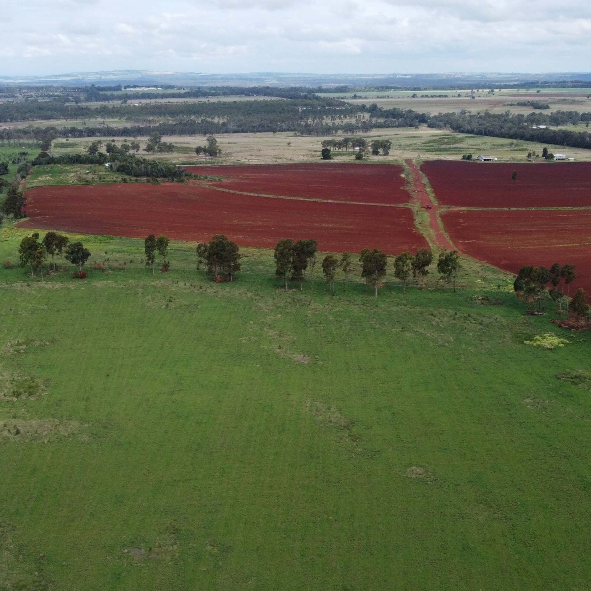 Wooden Hut: Restoring the ecosystem and remove carbon.