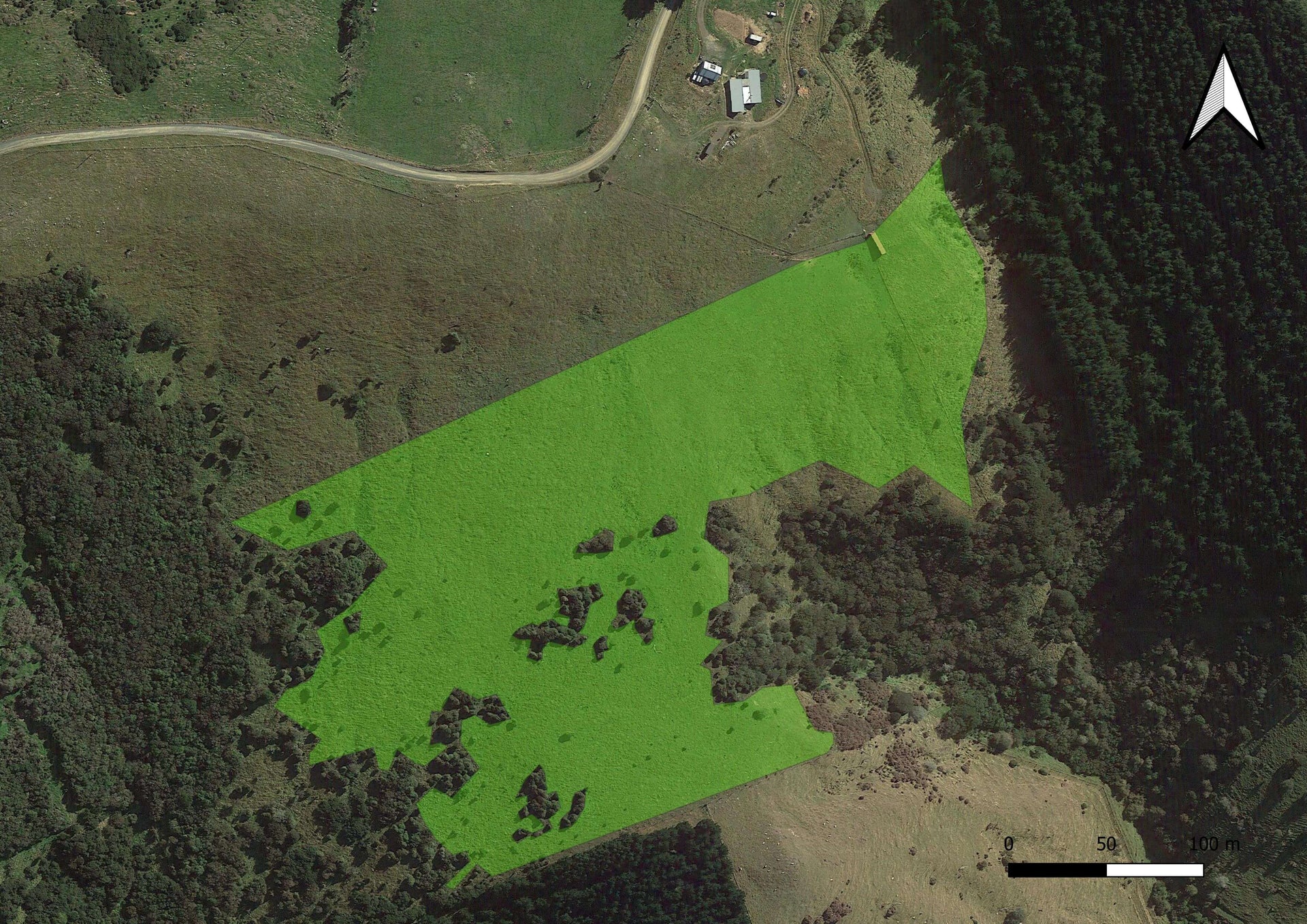 Wenborn: restore the ecosystem in New Zealand