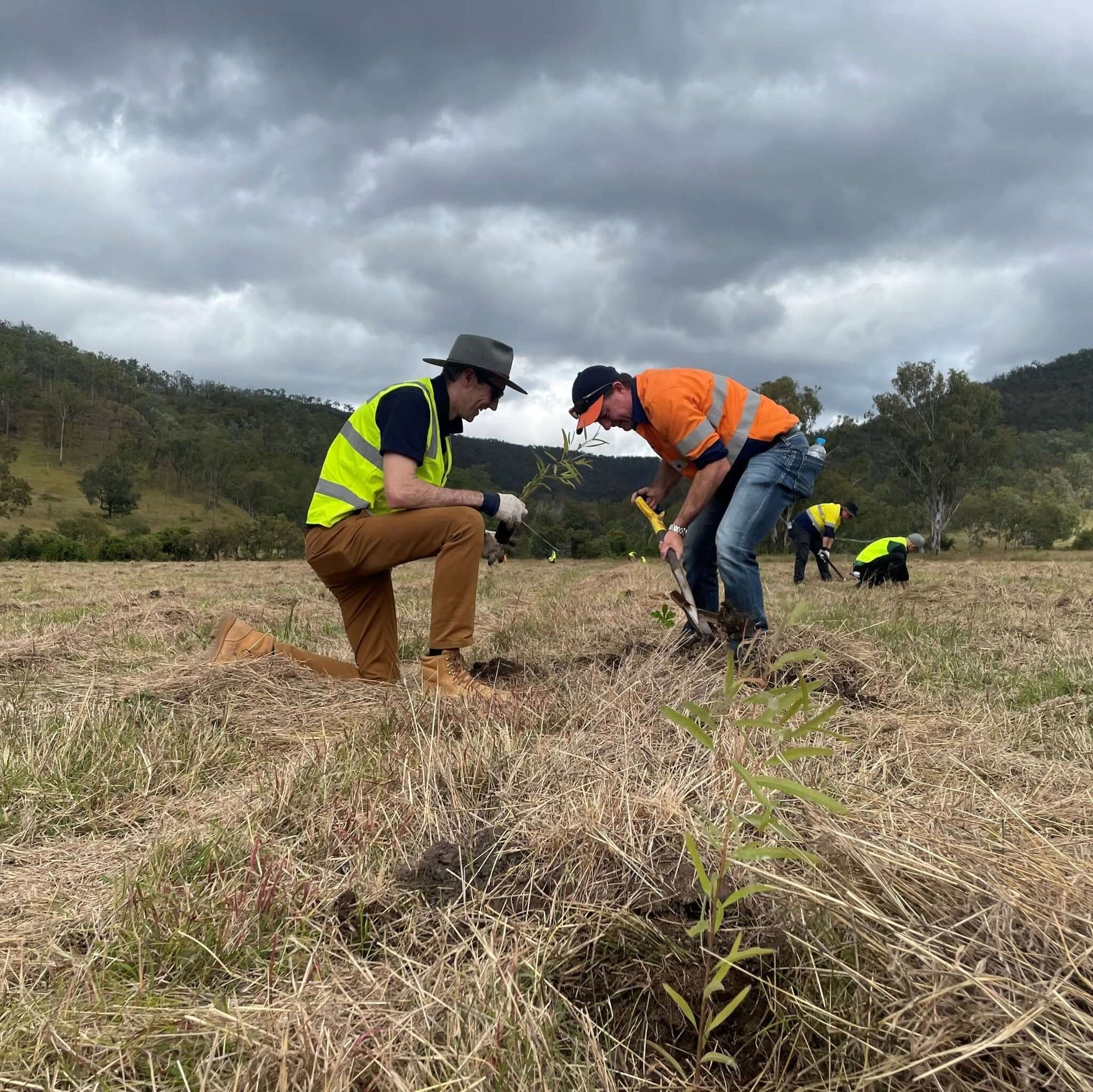 Greenfleet's Approach to Managing Our Forests