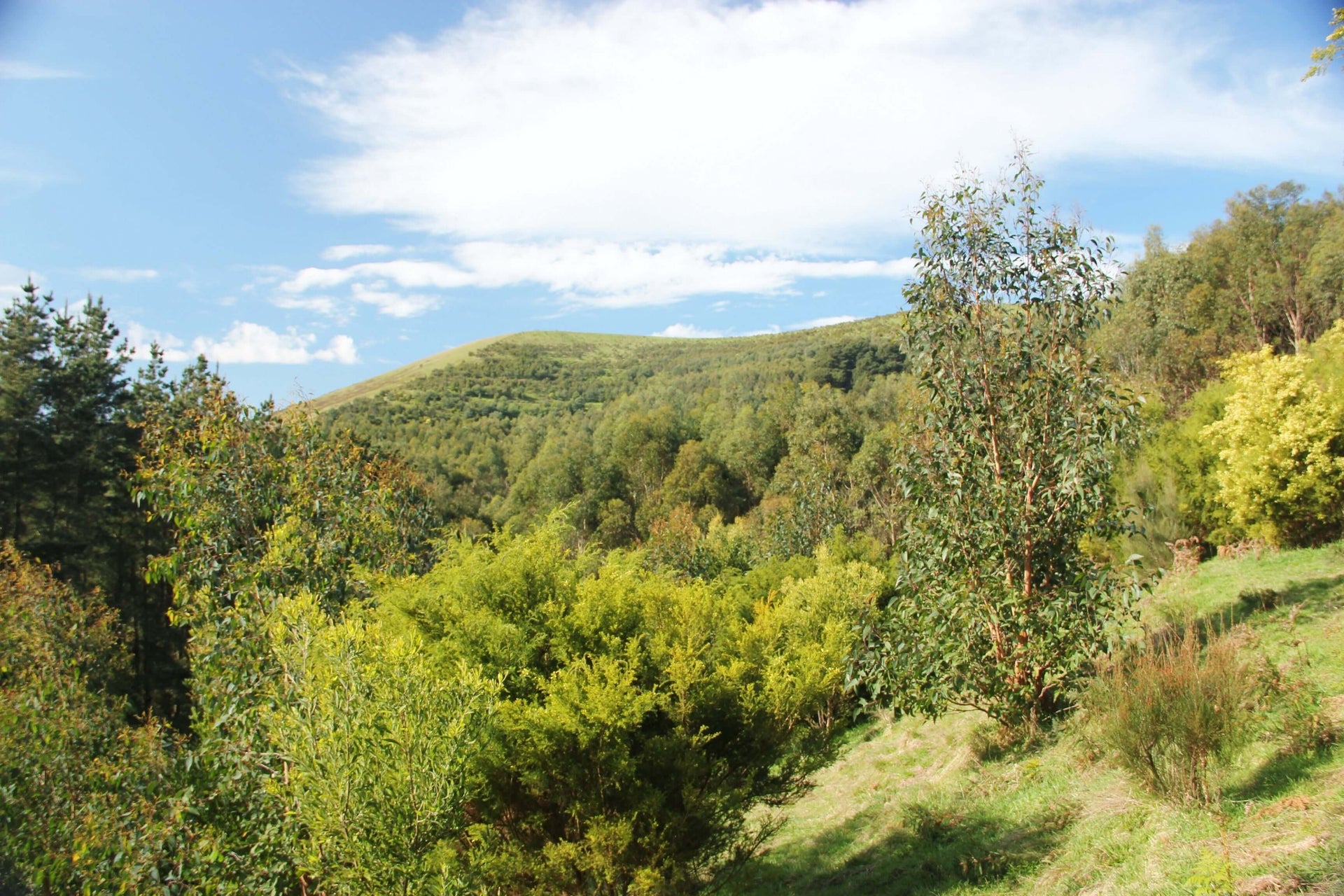 Why We Protect Our Forests For 100 Years