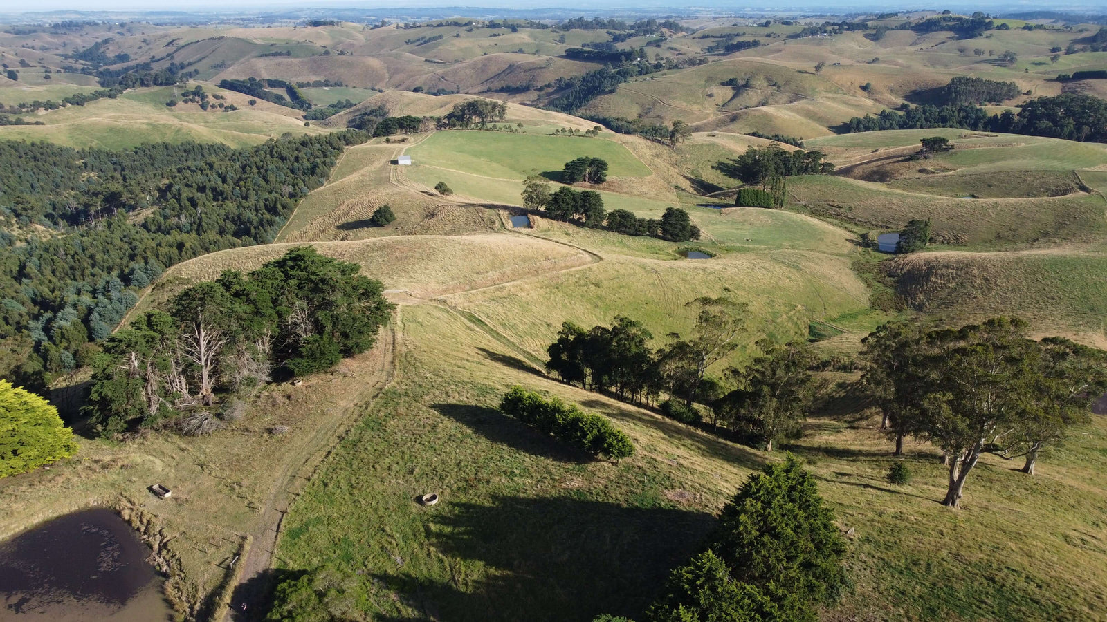 Mt Emily: nestled in the hills of Boonwurrung Country