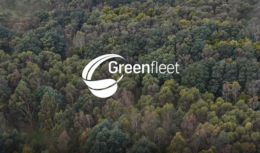 Offset business carbon emissions with Greenfleet