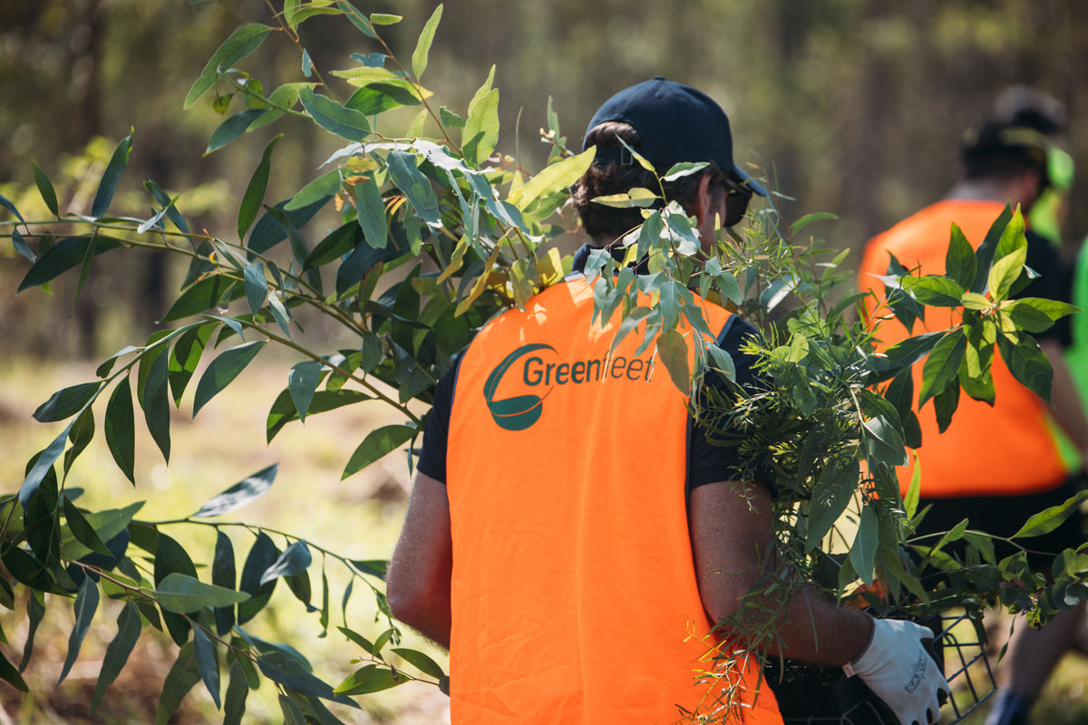 Offset Your Carbon Emissions With Greenfleet