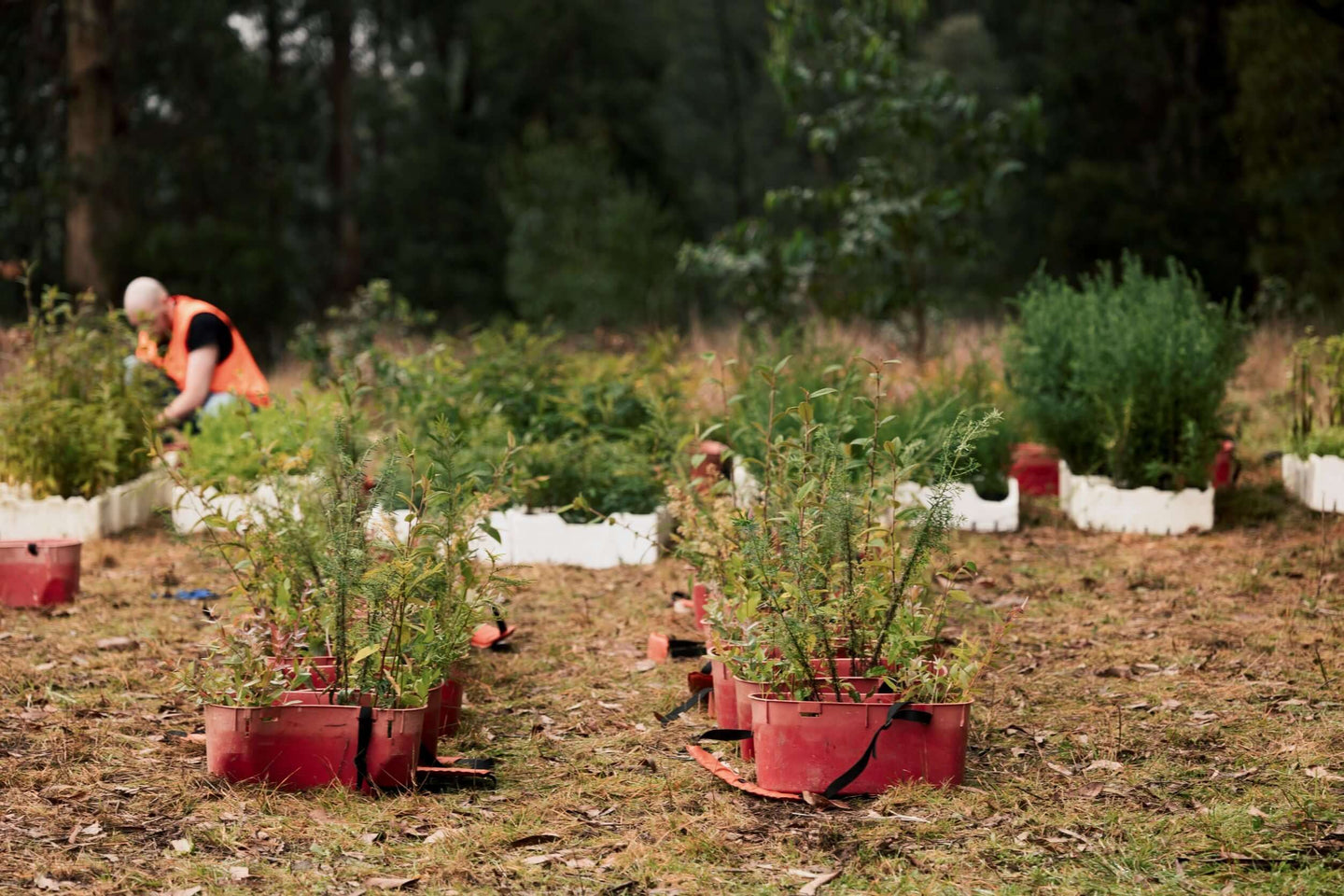 Workplace Giving with Greenfleet