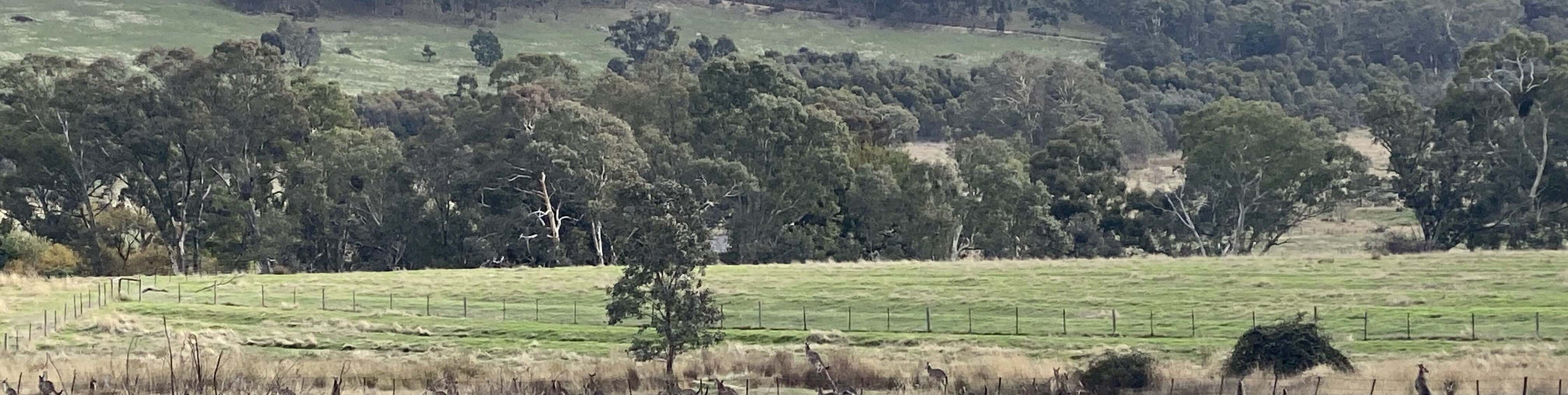 Harmony Way, VIC