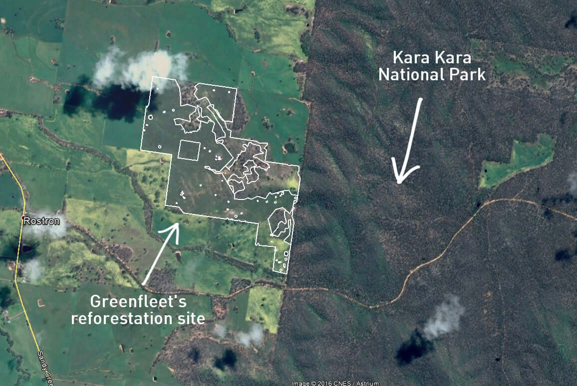 Restoring 140 ha of Native Bushland in Kara Kara, VIC