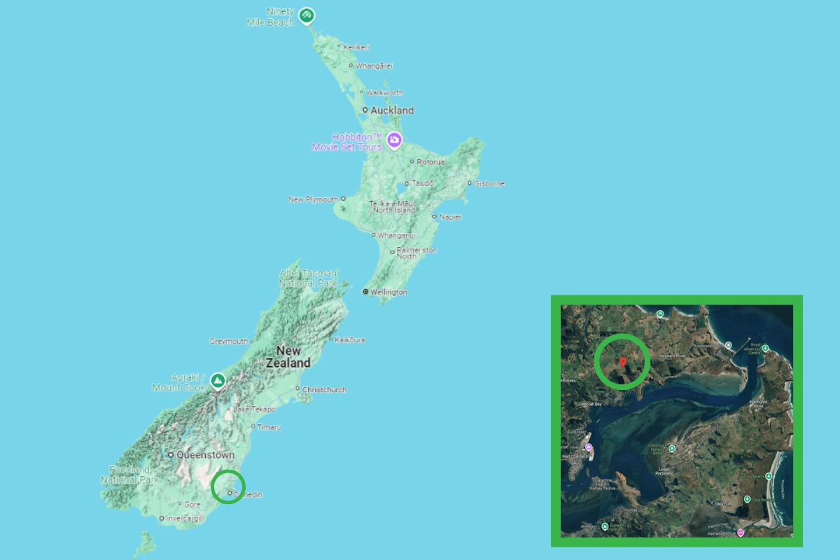 Wenborn: restore the ecosystem in New Zealand