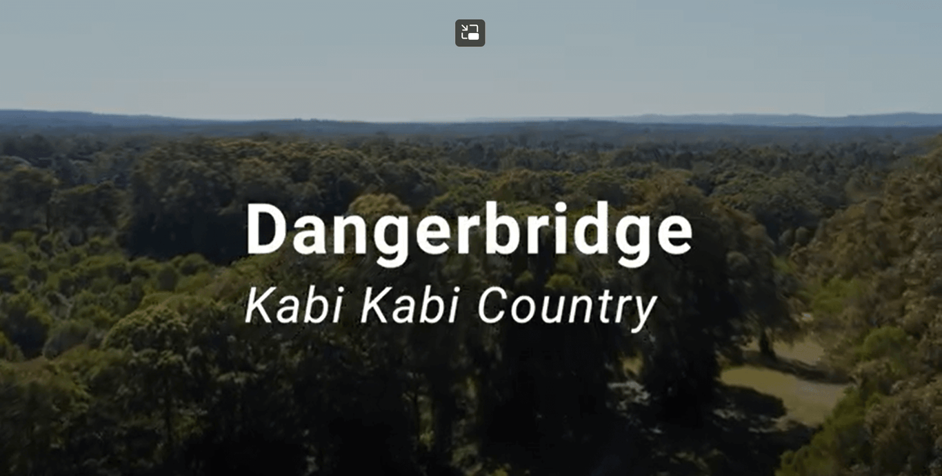 Native habitat restoration at Dangerbridge, QLD